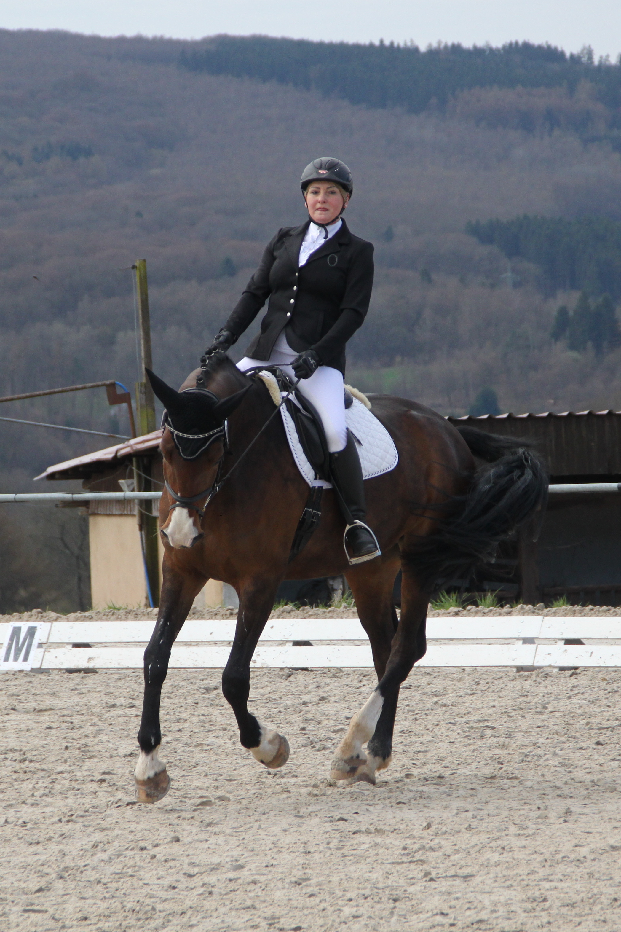 106-e_dressur-tunier-2016 • Lindenhof Nuhweiler