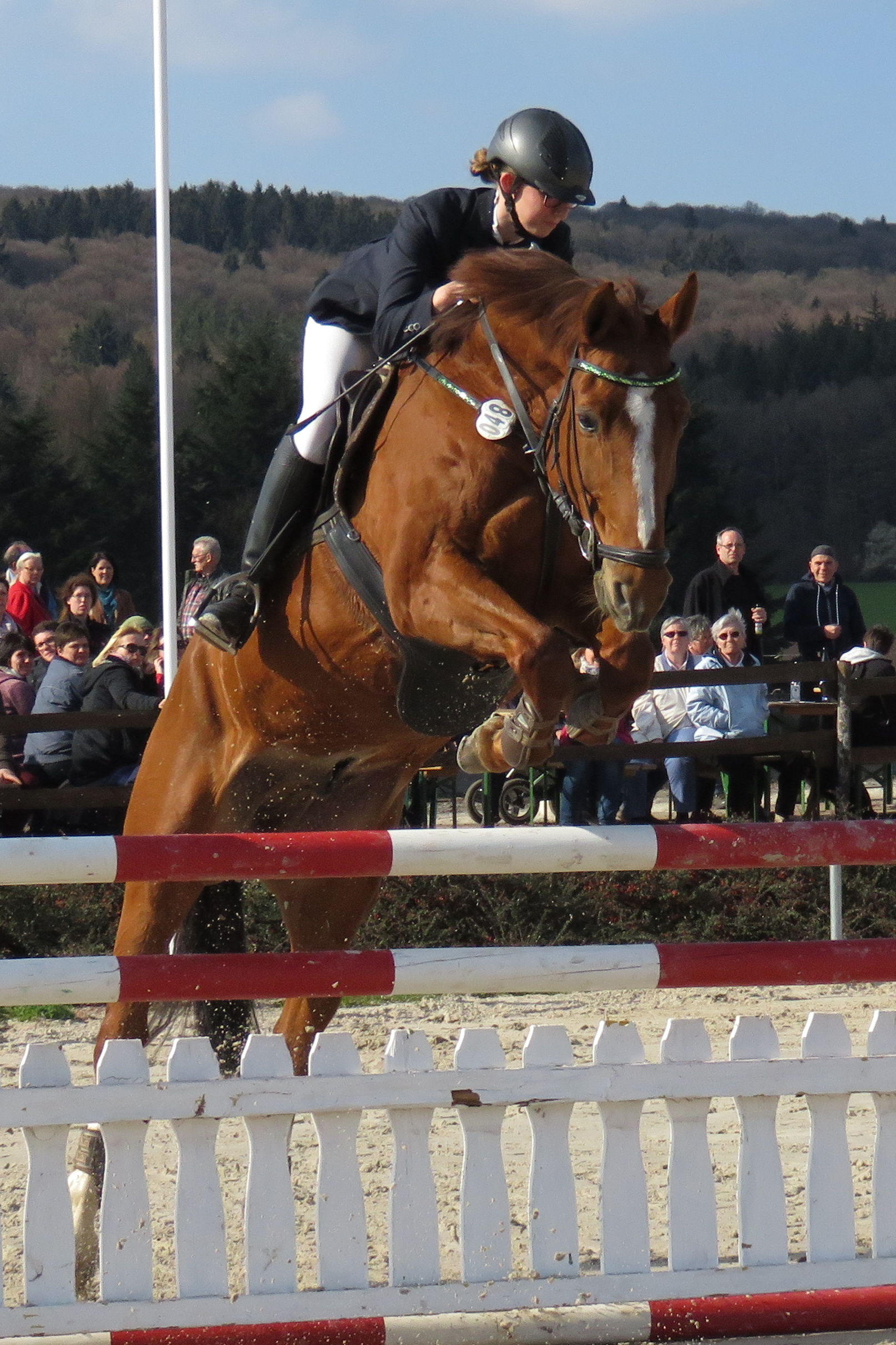 36-springen-tunier-2016 • Lindenhof Nuhweiler
